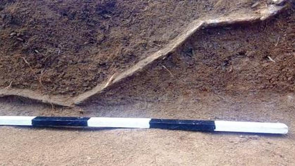 Megalithic full-length sword unearthed - The Hindu