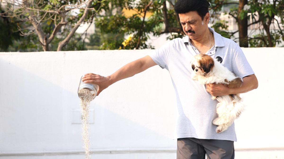 Provide water to birds, appeals Stalin - The Hindu