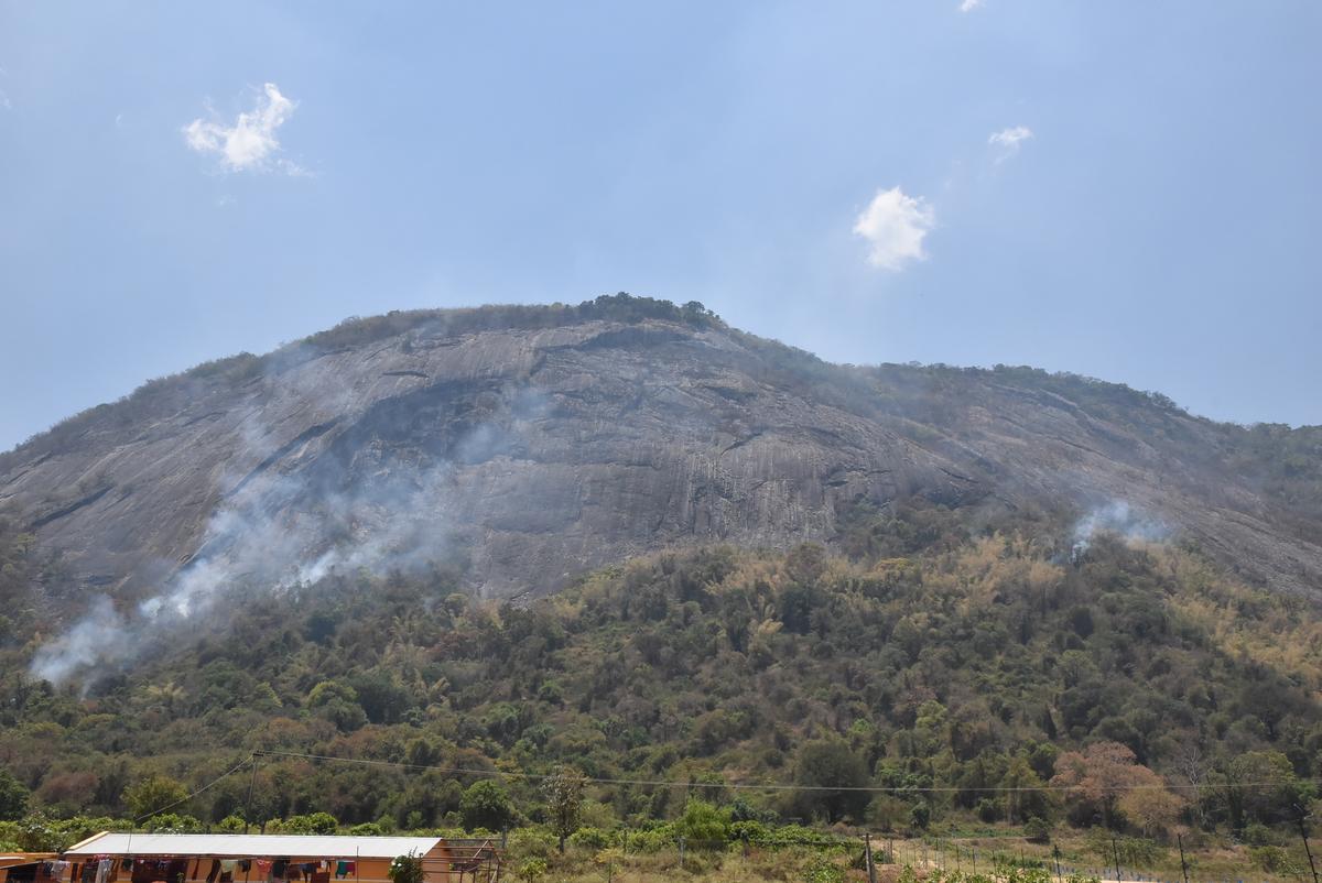 Fire destroys 50 hectares of rocky forest terrain near Coimbatore ...