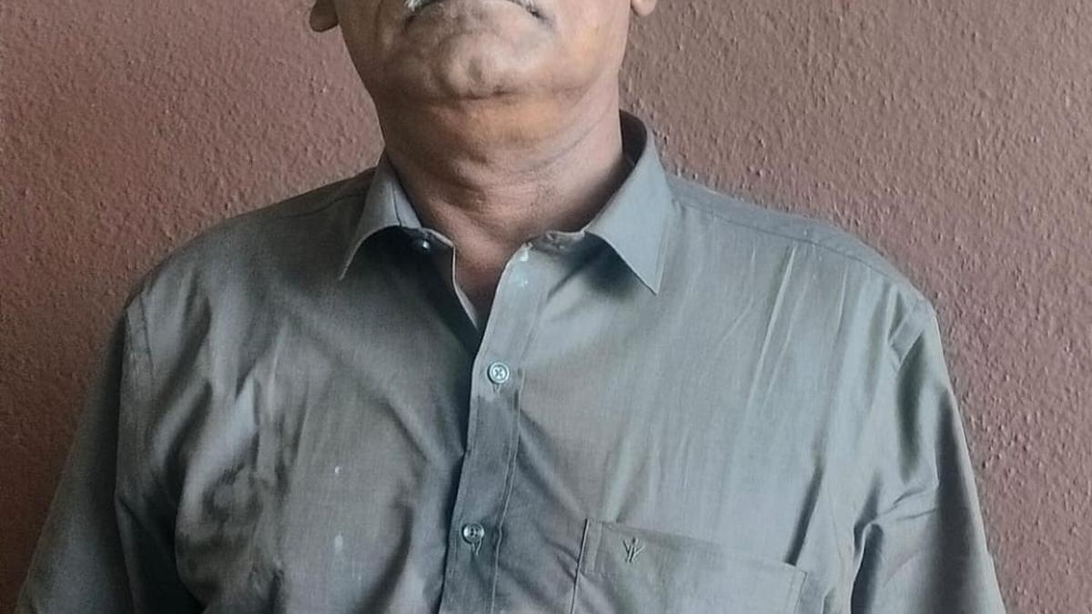 Velachery — from being a village to a bustling town - The Hindu