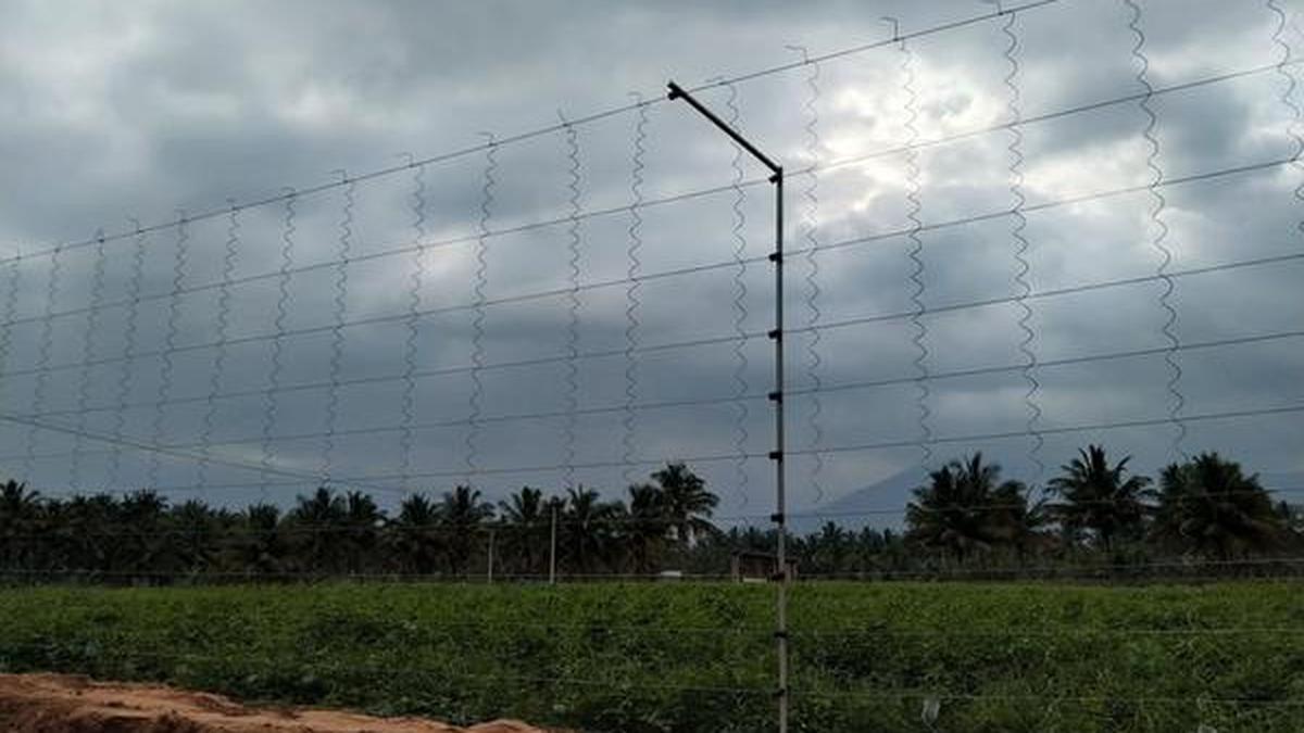 Solar-powered fences to protect fields from elephants - The Hindu