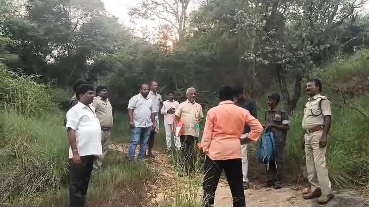 Forest Department to restore Old Military Road on T.N. - A.P. border ...