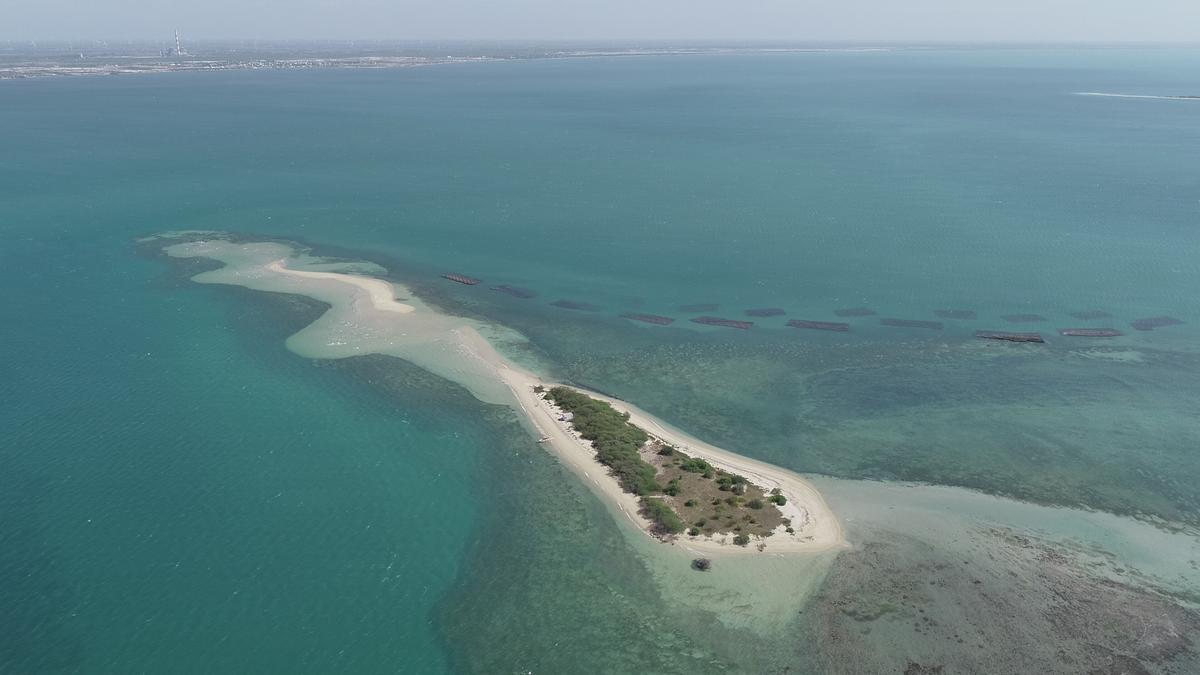 Tamil Nadu pioneers a model for saving the sinking islands in the Gulf ...