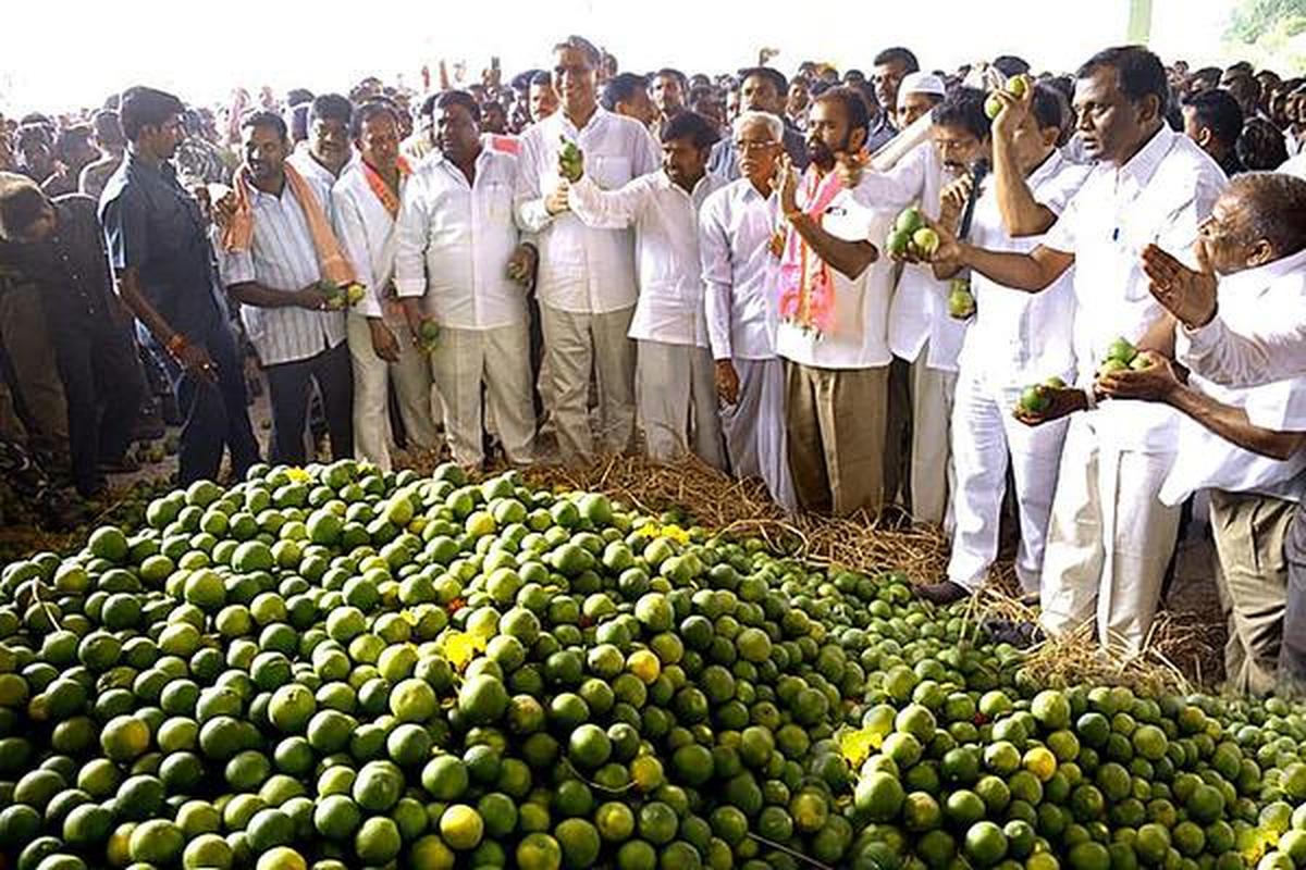 State’s first lemon market opened at Nakrekal - The Hindu
