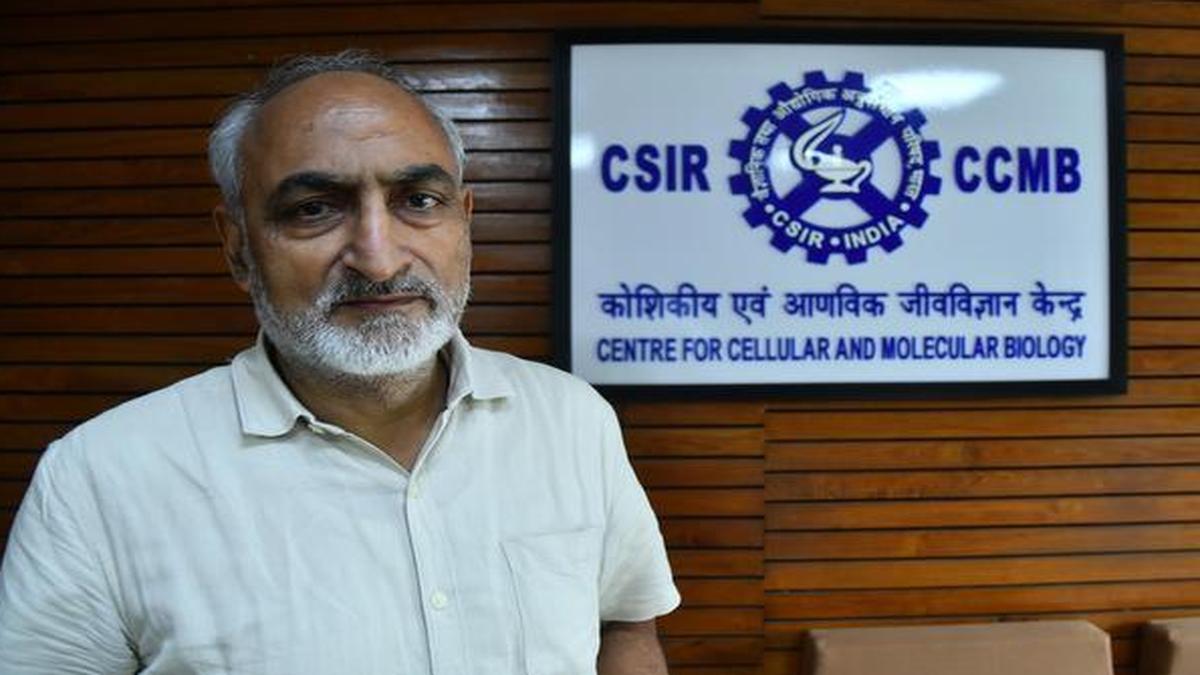 New COVID mutation a ‘matter of concern’: CCMB chief - The Hindu