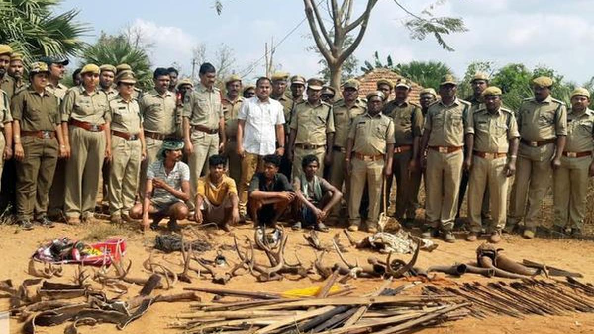 13 Adivasis arrested for poaching, weapons seized - The Hindu