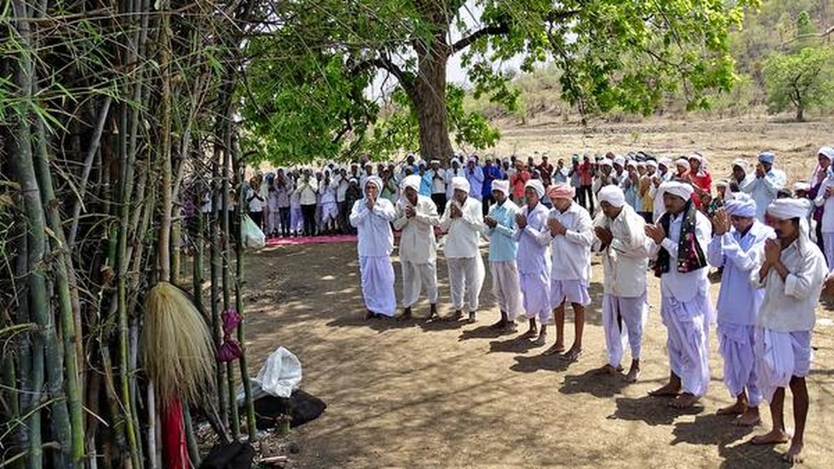 Adivasis pin hopes on Bada Dev for good crop season - The Hindu