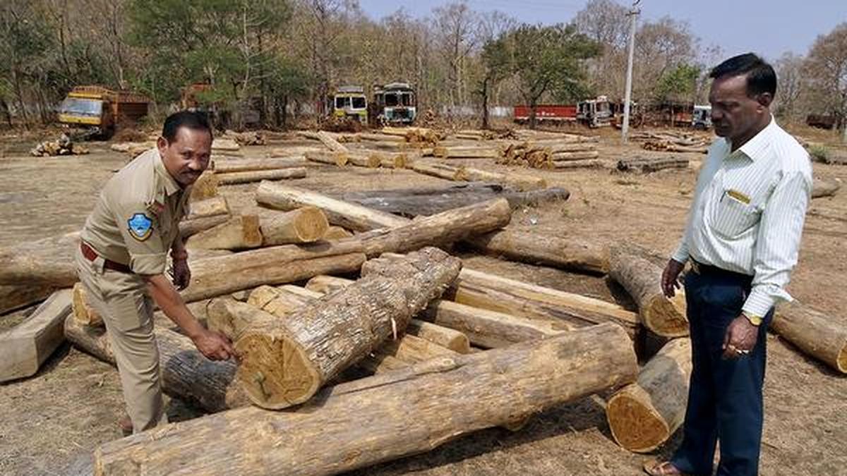 Peasants who took to timber smuggling - The Hindu