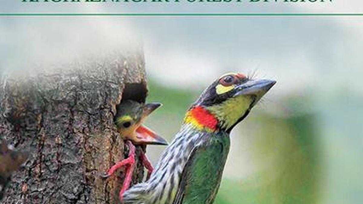 Telangana bird-loving duo bring out a field guide - The Hindu