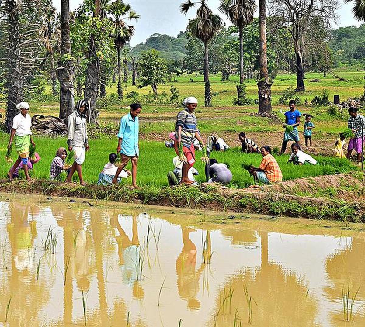 Pandemic, geologist crunch impede Giri Vikasam scheme - The Hindu