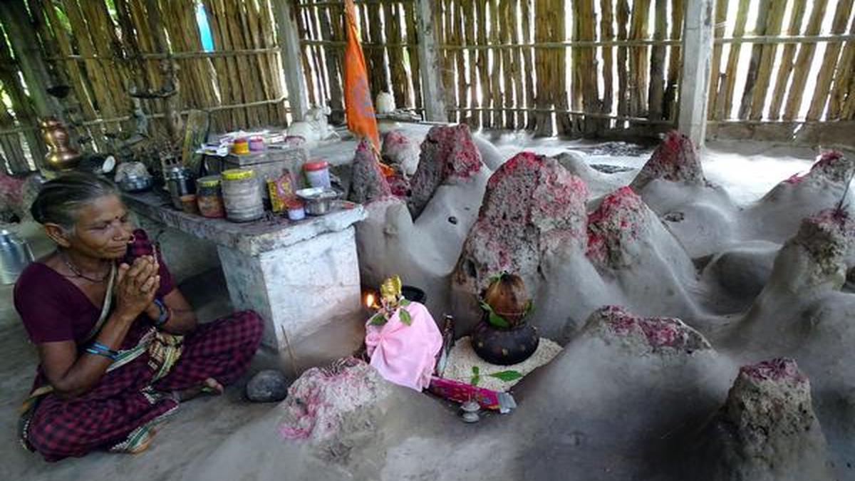 A lesser-known but equally fascinating Nagoba Jatara - The Hindu