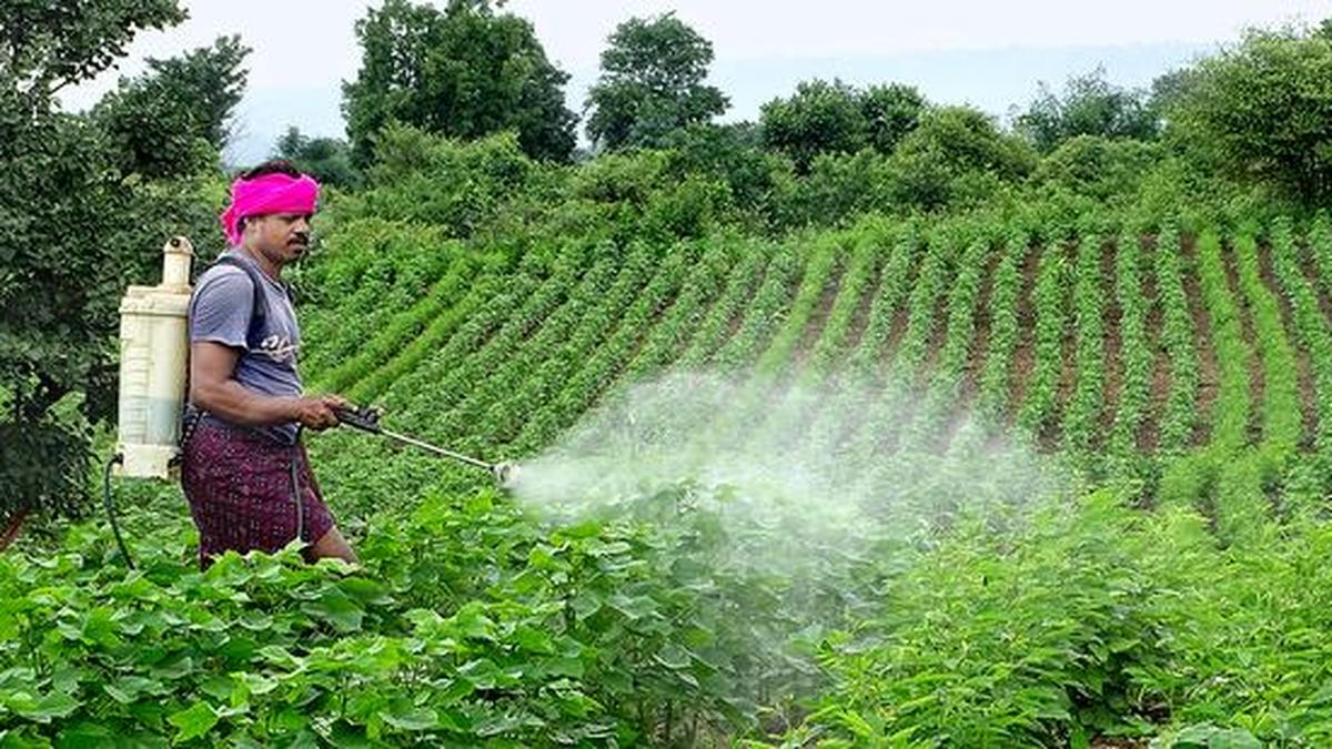 Pesticide inhalation torments farmers of old Adilabad again - The Hindu