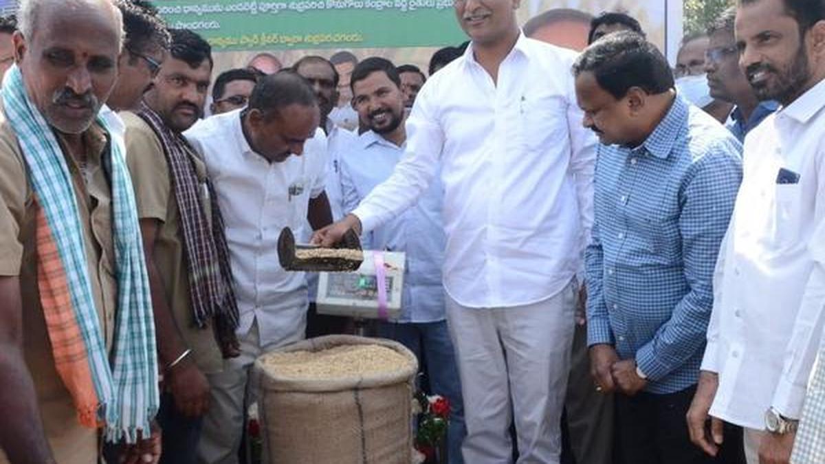 Paddy procurement centre inaugurated at Siddipet - The Hindu