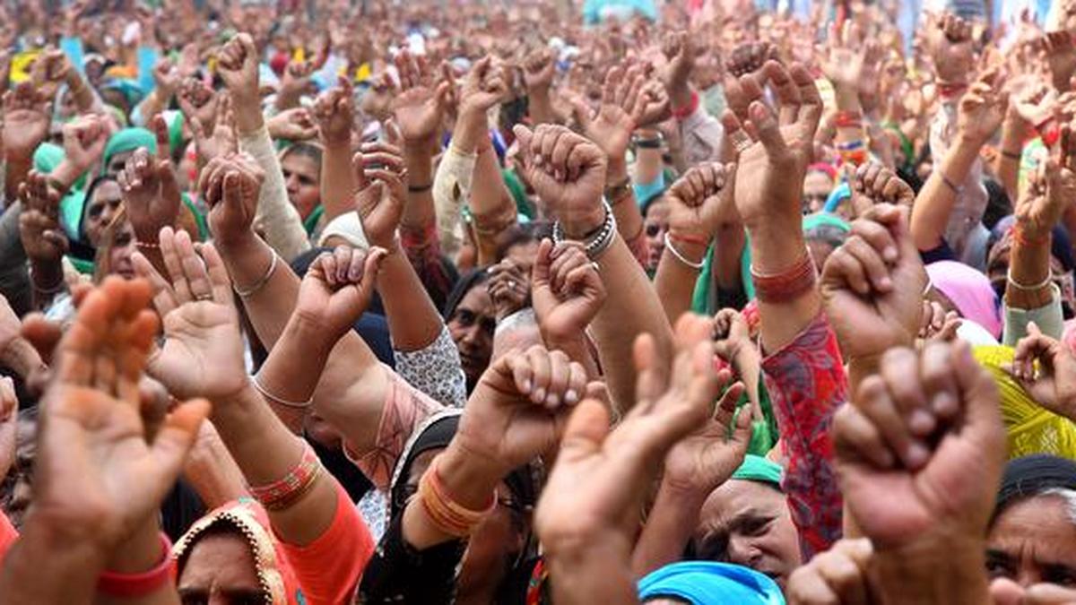 Organisation of staff into different local cadres may take time - The Hindu