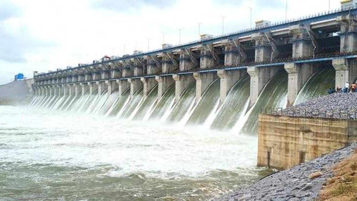 240 sheep washed away in flood waters from Mid Manair Dam - The Hindu