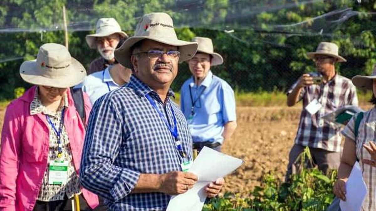 New regional head for World Vegetable Center - The Hindu