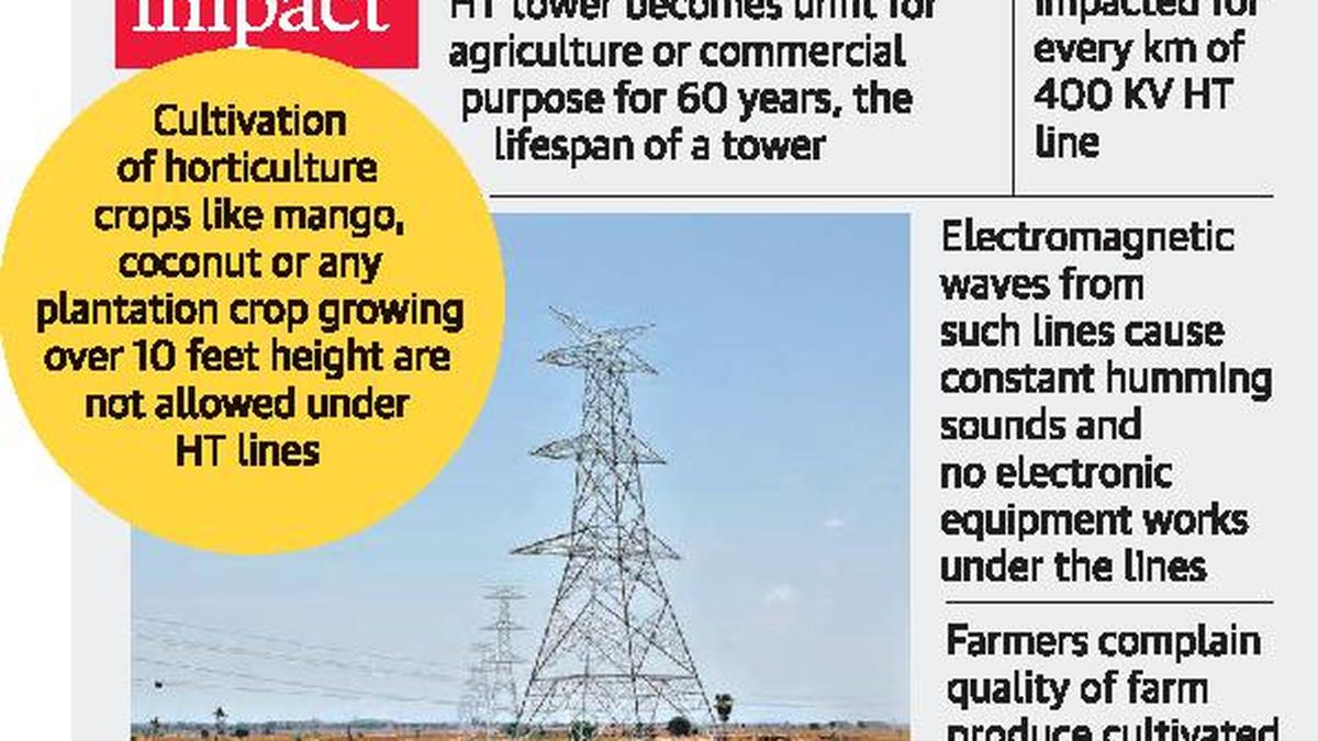 Concern over HT lines affecting cultivation - The Hindu