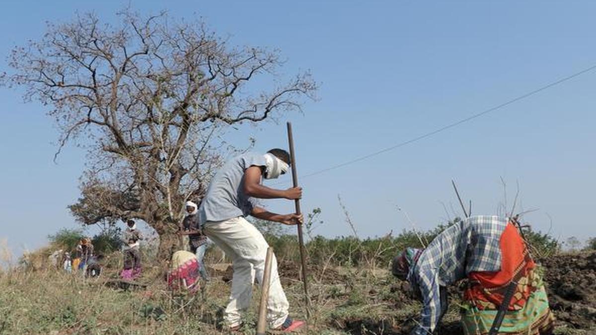 Tribals welcome MNREGS works - The Hindu