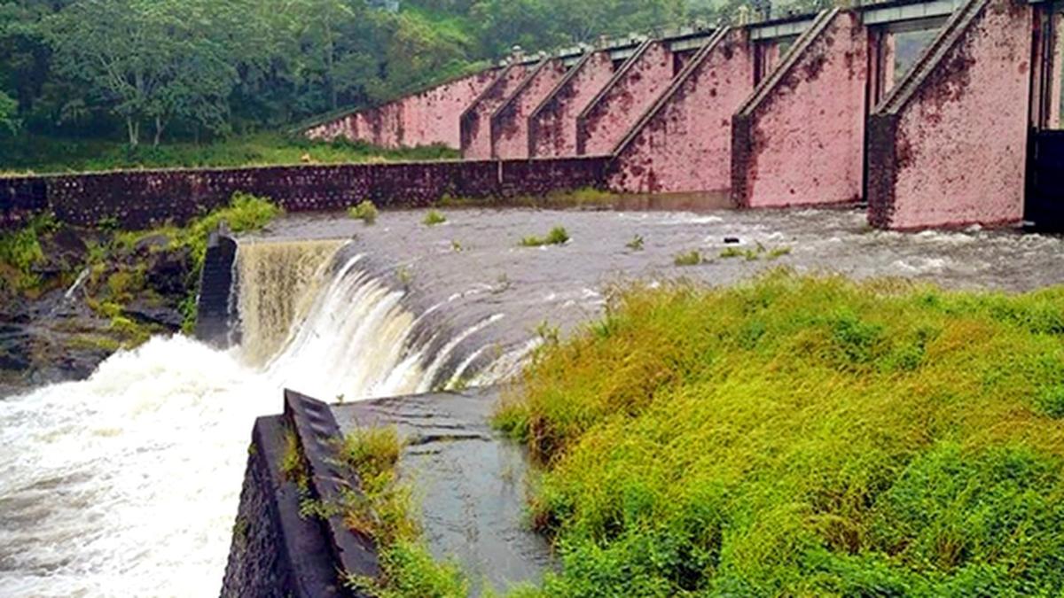 Tamil Nadu moves Supreme Court, accuses Kerala of obstructing work on ...