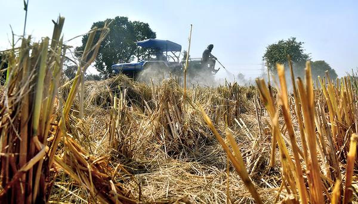 Bio-decomposer a better solution, say farmers - The Hindu