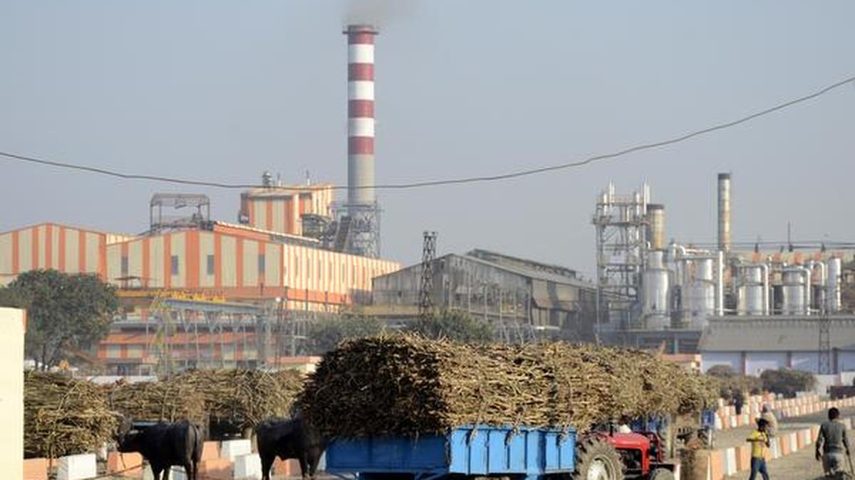 Central package for sugar mills - The Hindu