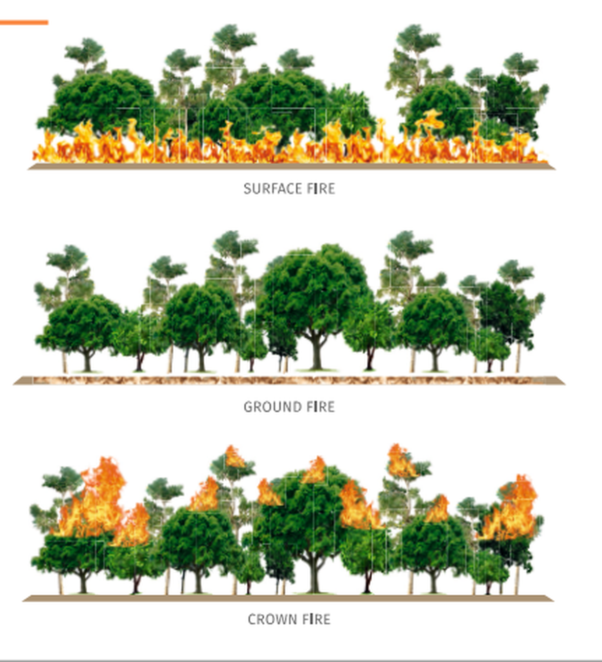 Why Uttarakhand is prone to forest fires | Explained - The Hindu