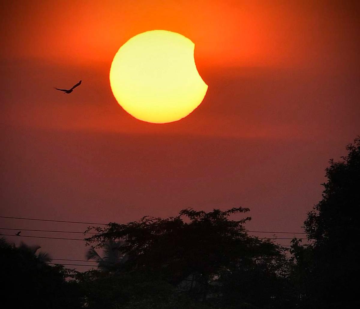 In picture | The last solar eclipse of 2022 - The Hindu