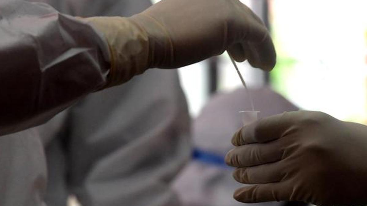 COVID-19 tests in India cross 3 crore mark - The Hindu