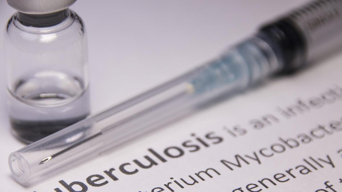 Redesigned programmes can vastly improve TB treatment outcomes - The Hindu