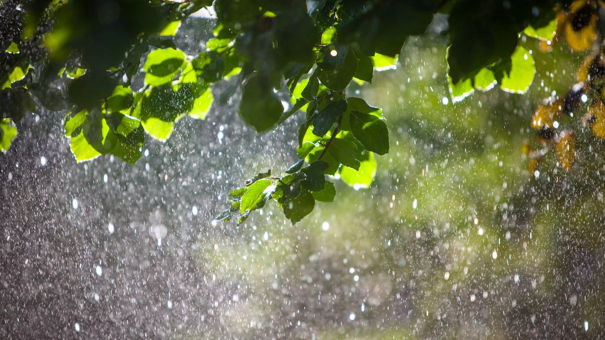 Rain and shine - The Hindu