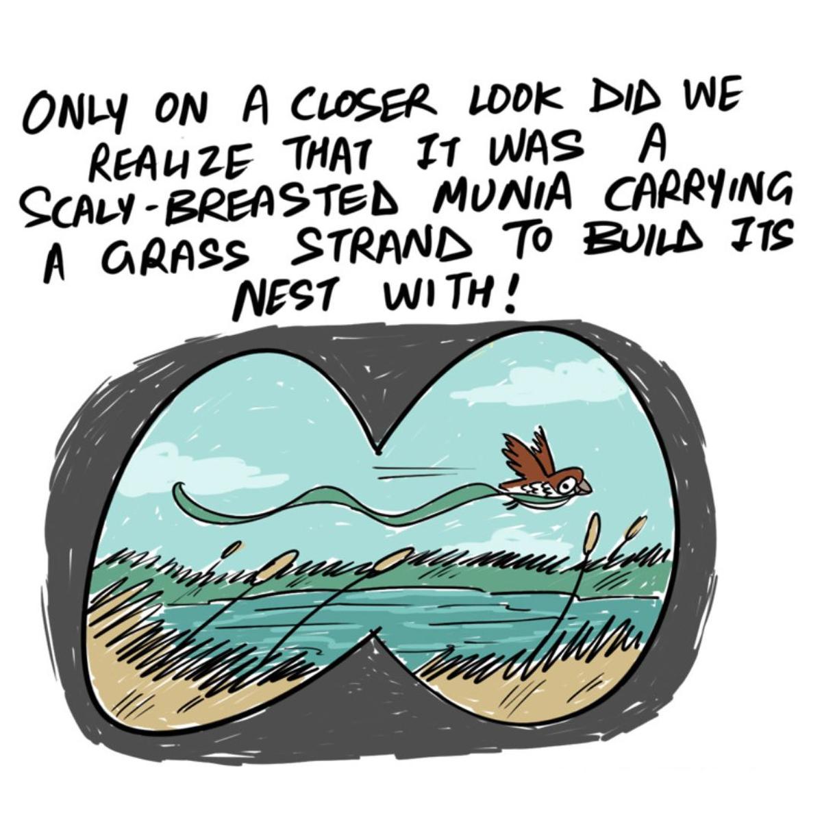 Green Humour by Rohan Chakravarty on India’s forgotten wetlands and ...