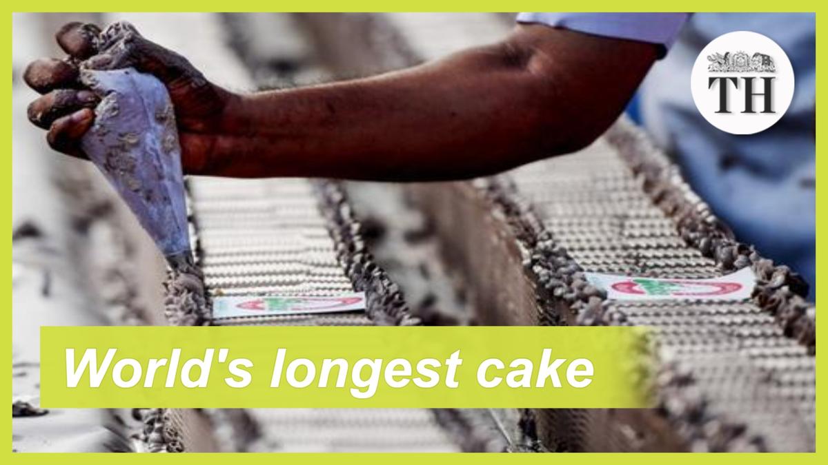 Bakers from India make the world’s longest cake - The Hindu