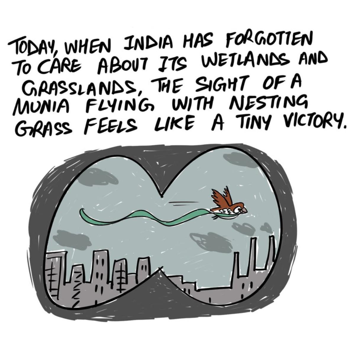 Green Humour by Rohan Chakravarty on India’s forgotten wetlands and ...