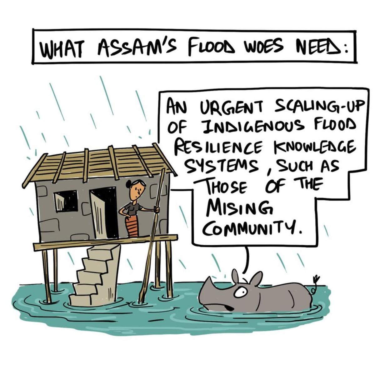 Green Humour by Rohan Chakravarty on the Assam floods - The Hindu