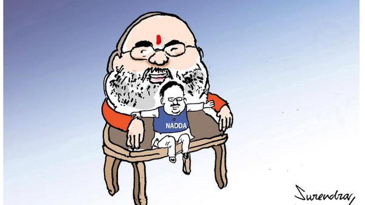 Cartoonscape — January 21, 2020 - The Hindu