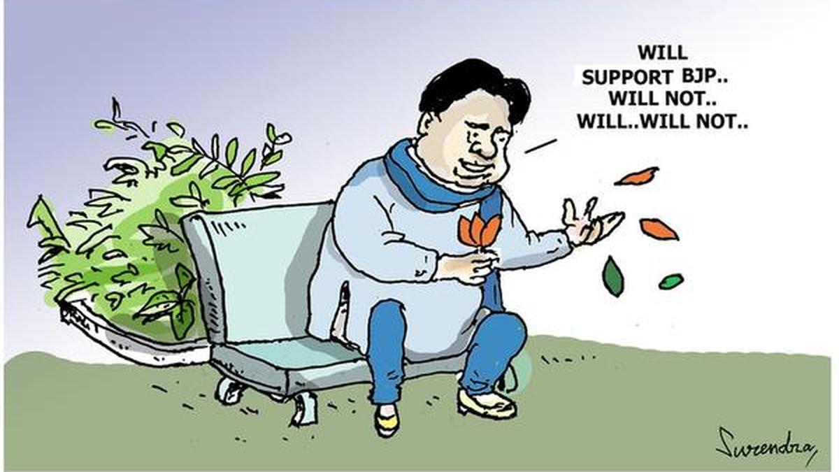 Cartoonscape — November 4, 2020 - The Hindu