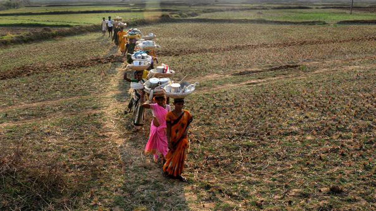 Reset rural job policies, recognise women’s work - The Hindu