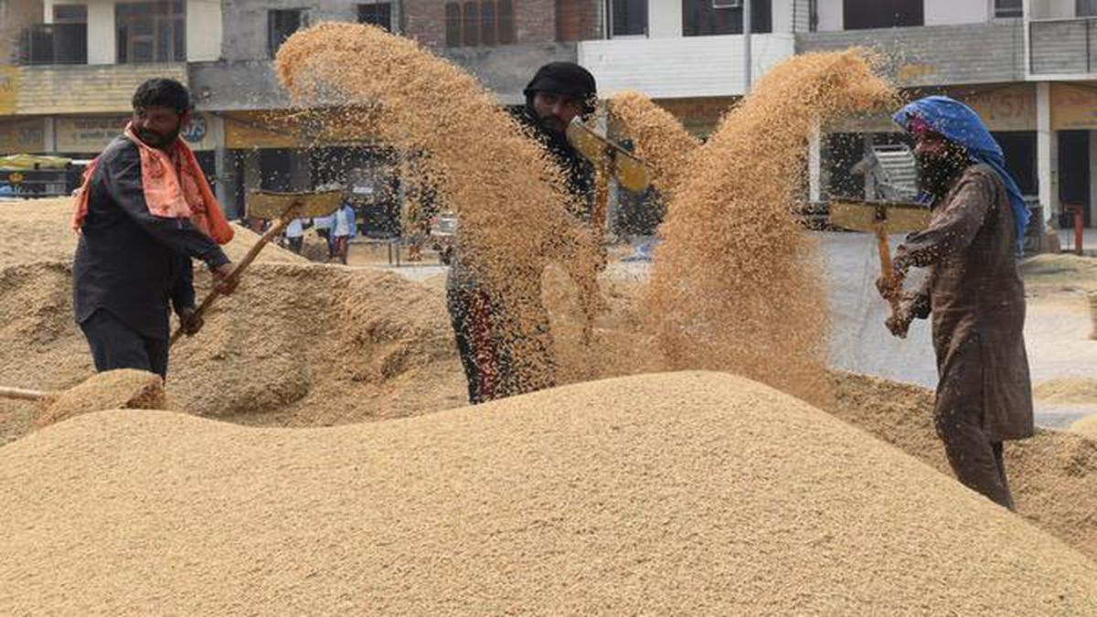 Reimagining food systems with lessons from India - The Hindu