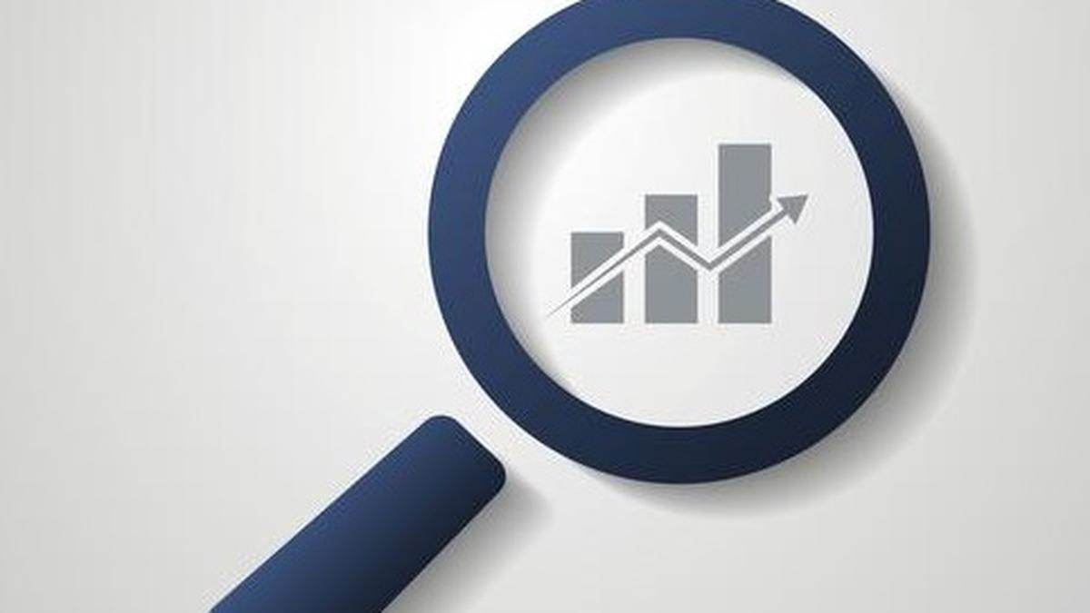 Questionable data, little room for exuberance - The Hindu