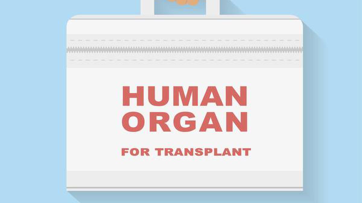 Transplanting Best Practices The Hindu