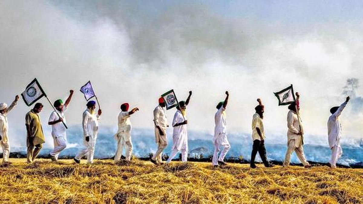 The flaming fields of Punjab - The Hindu