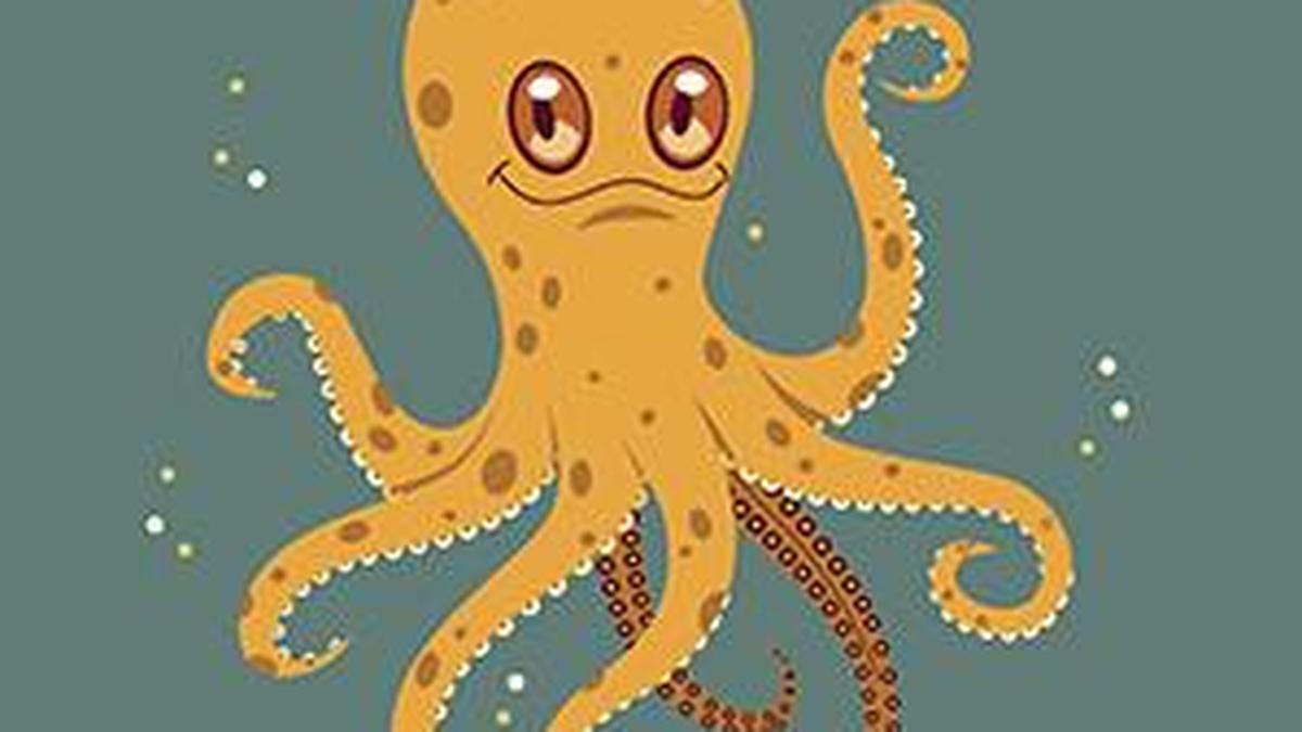 The wisdom of an octopus - The Hindu