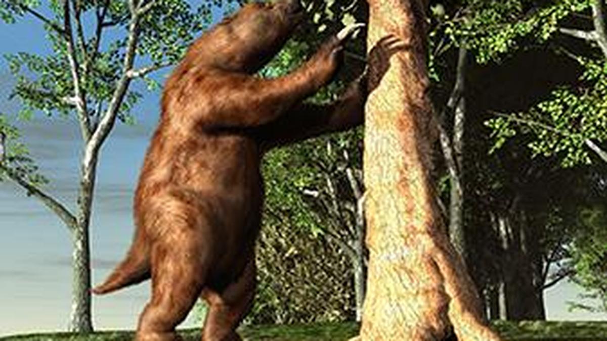 The science of altruism - The Hindu