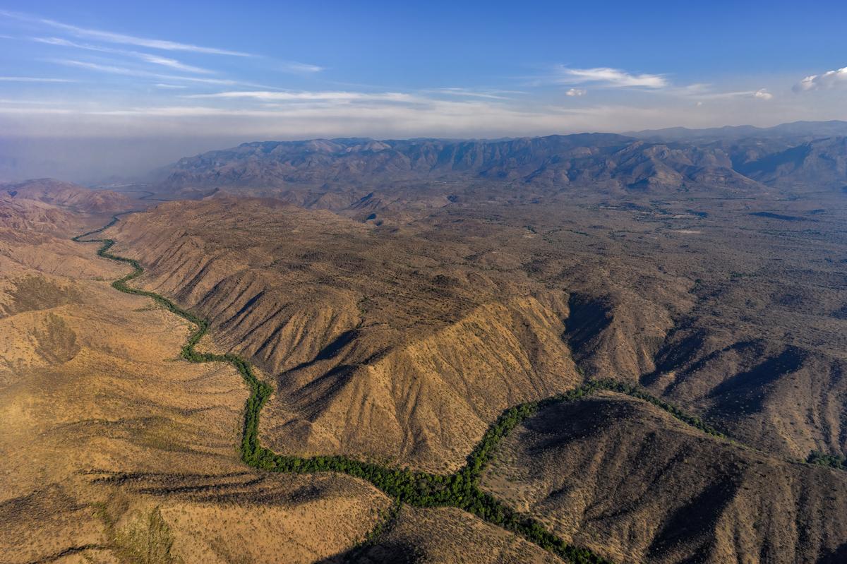 The Nilgiris as a shared wilderness - The Hindu
