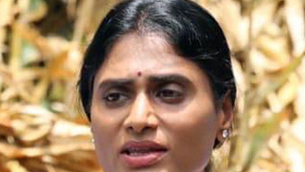 An arrow finding its mark - The Hindu