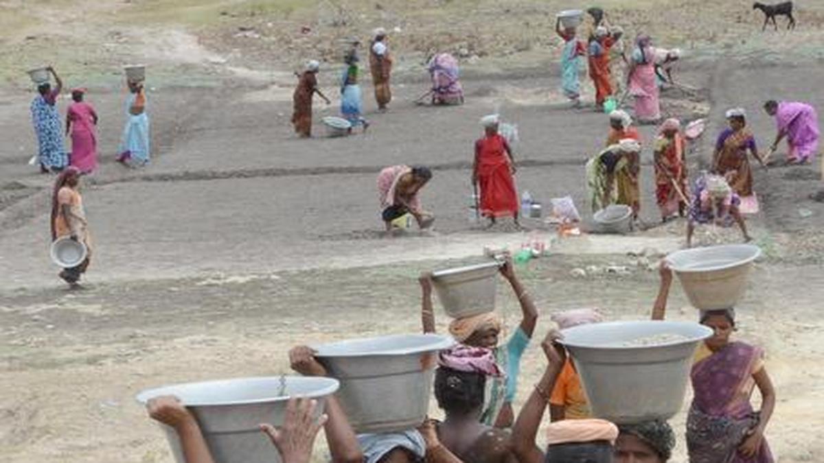 The solution is universal - The Hindu