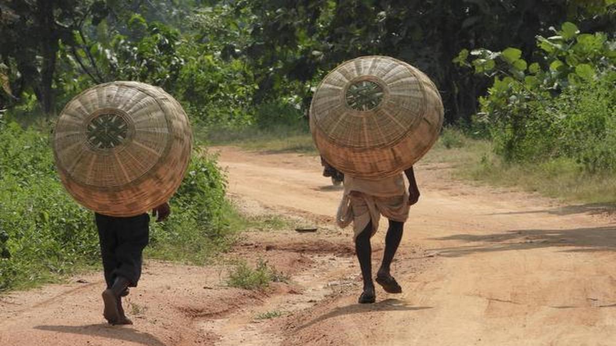 The silent erasure of Adivasiyat - The Hindu