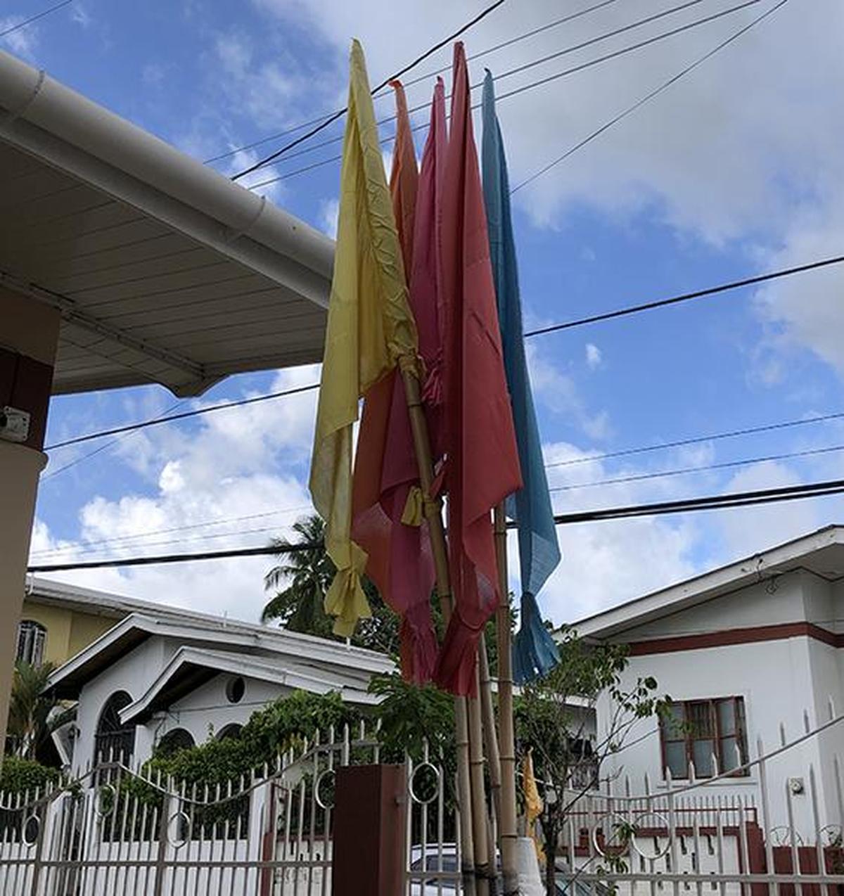 The Caribbean pennants - The Hindu