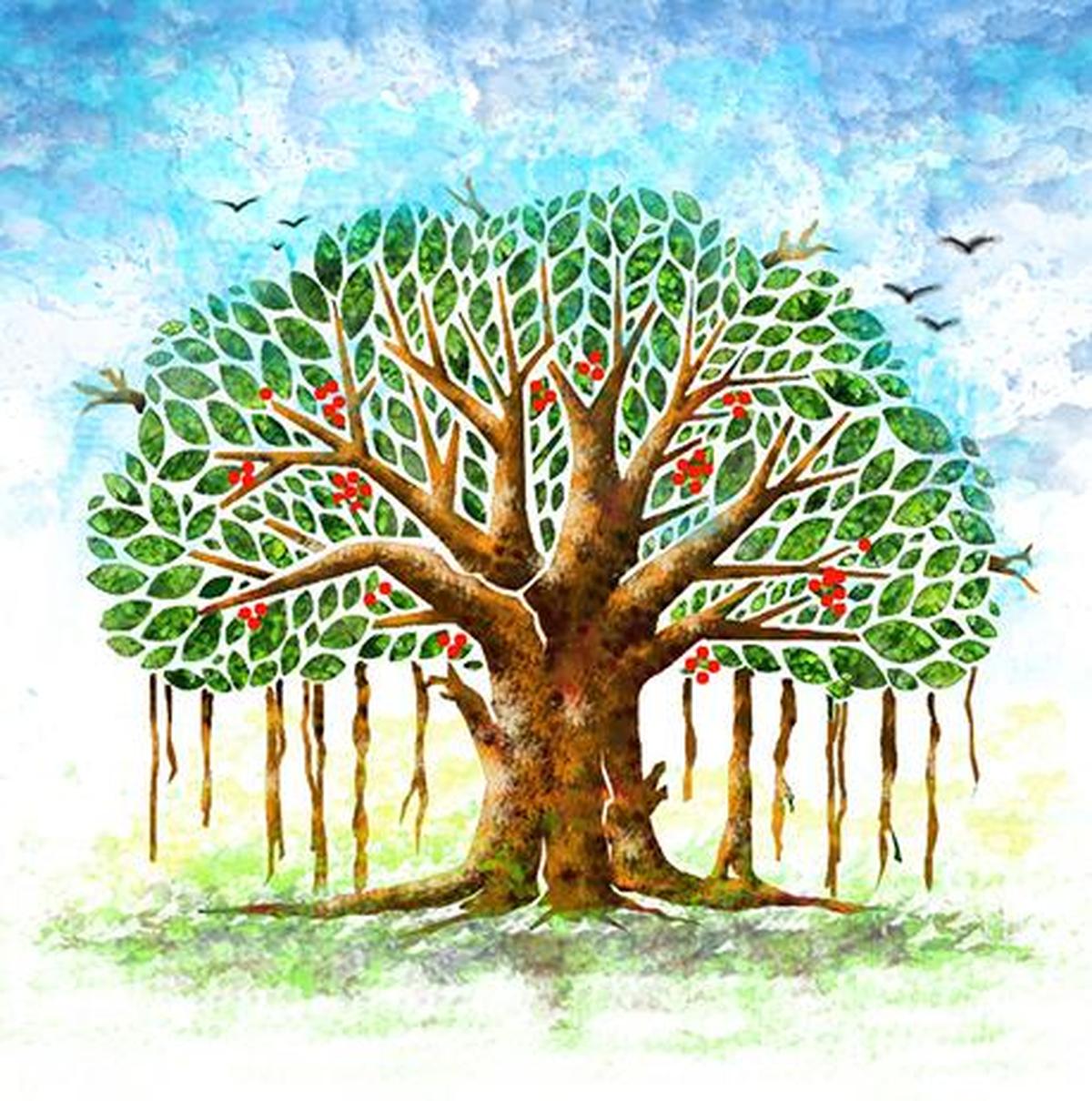 A banyan tree and its berries - The Hindu