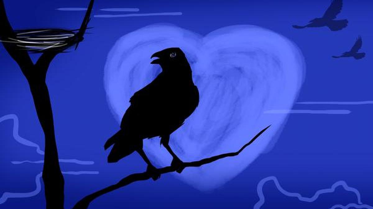 The crow’s message - The Hindu